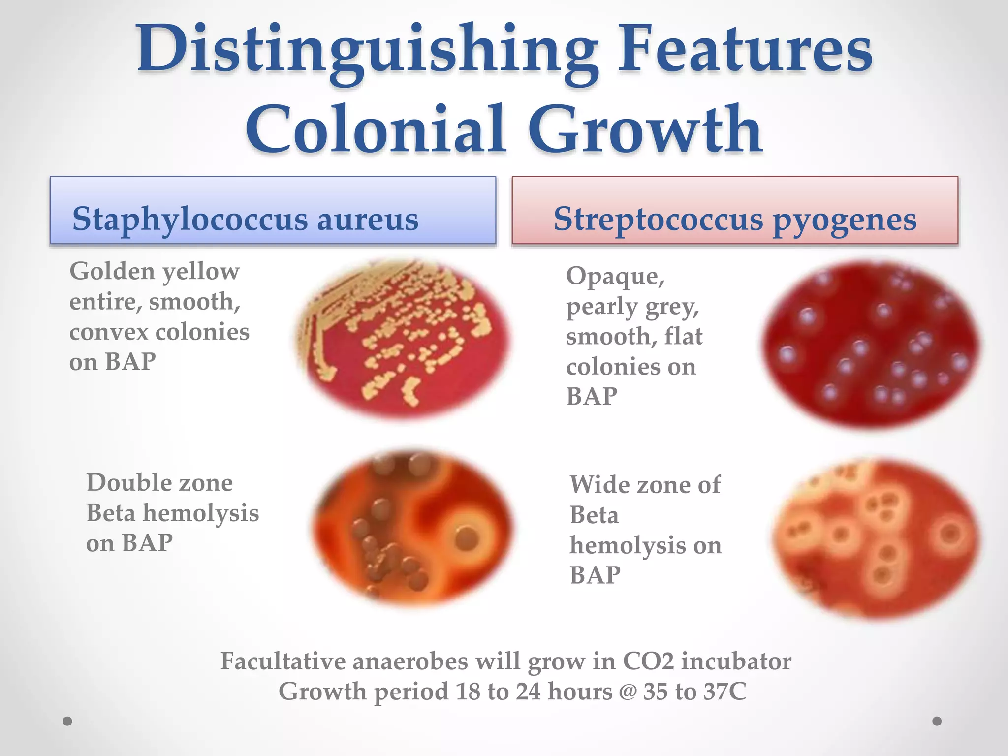 Wound Swab PowerPoint | PPTX | Chemistry | Science
