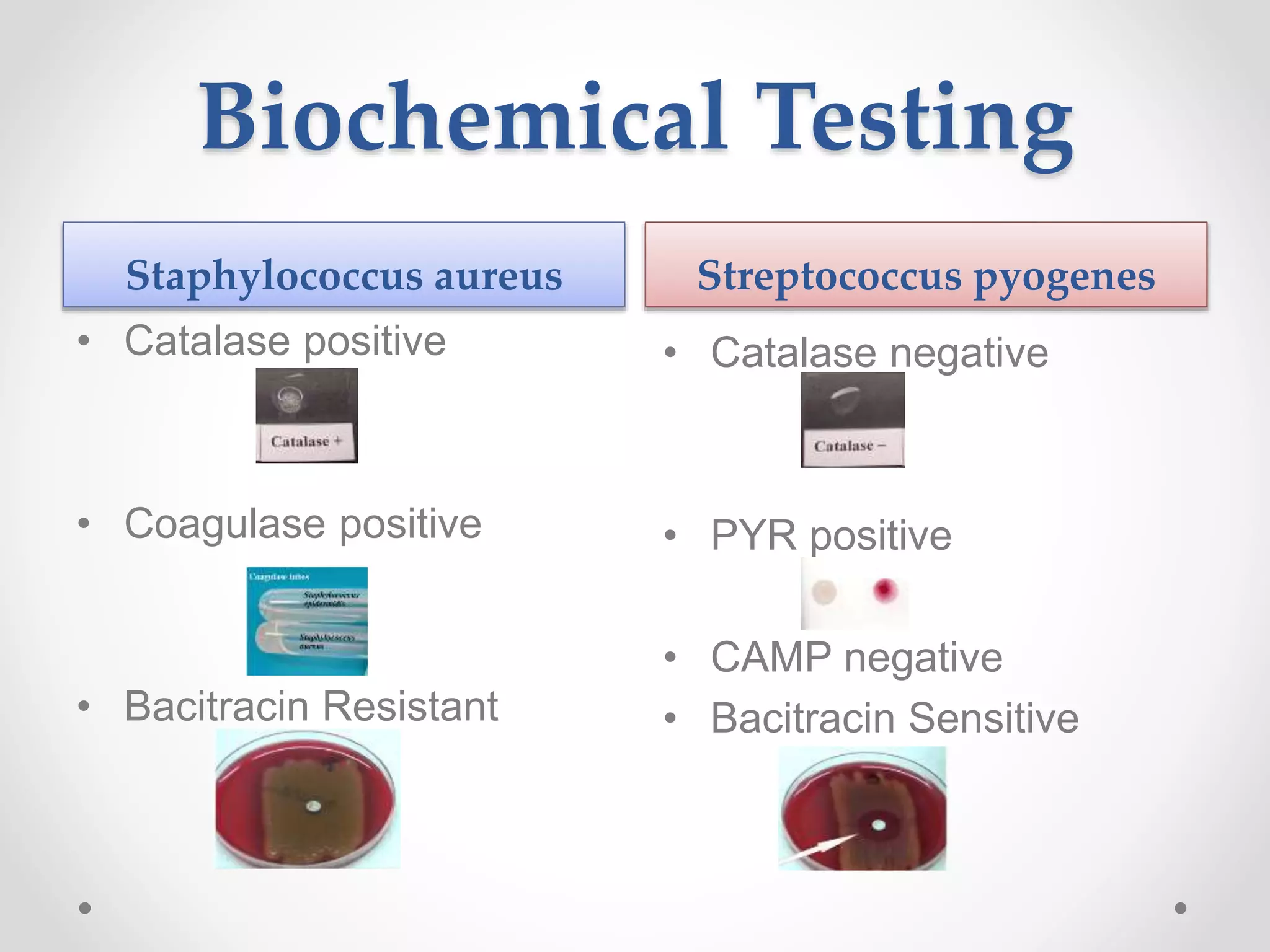 Wound Swab PowerPoint | PPTX | Chemistry | Science