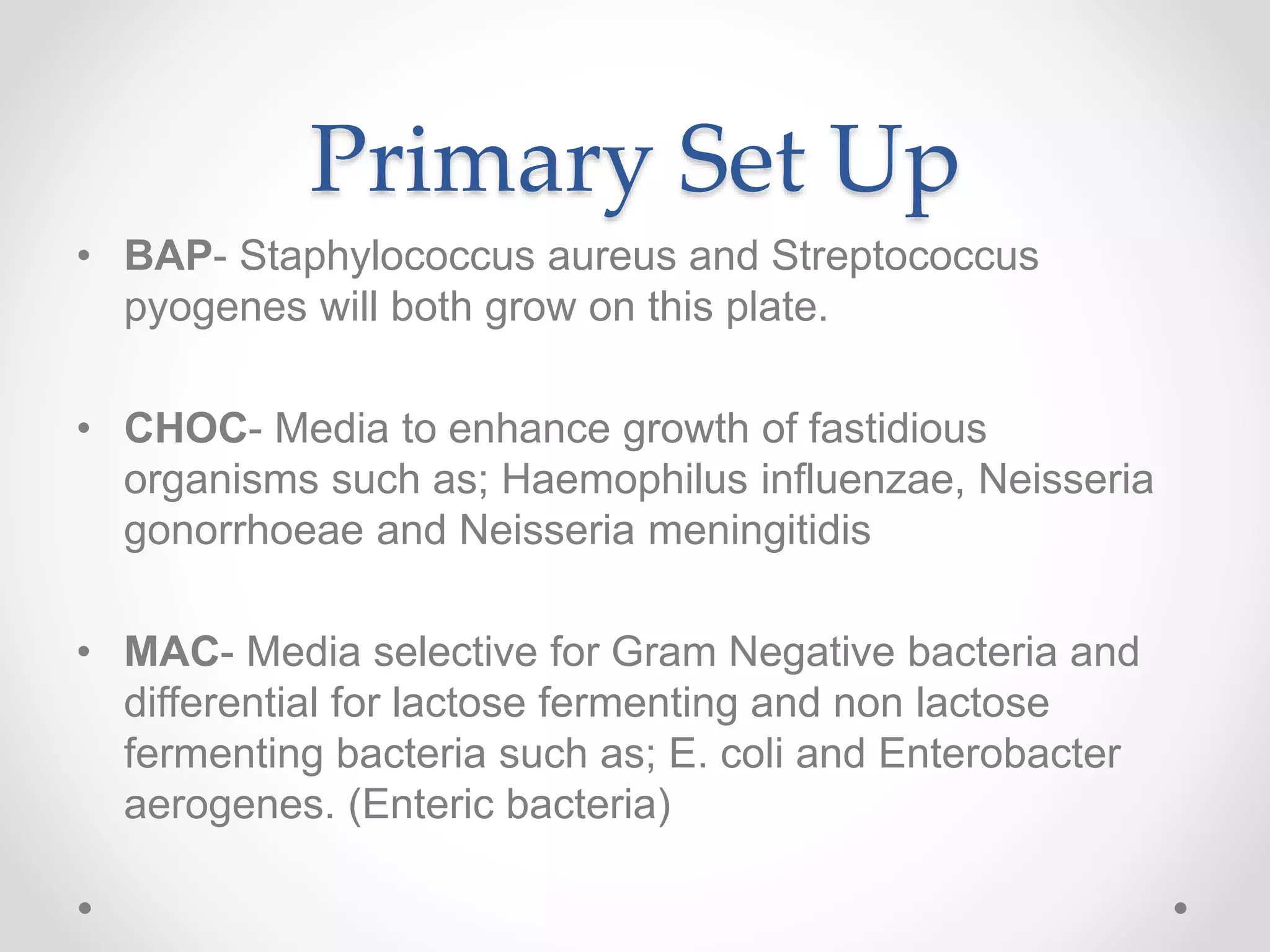 Wound Swab PowerPoint | PPTX