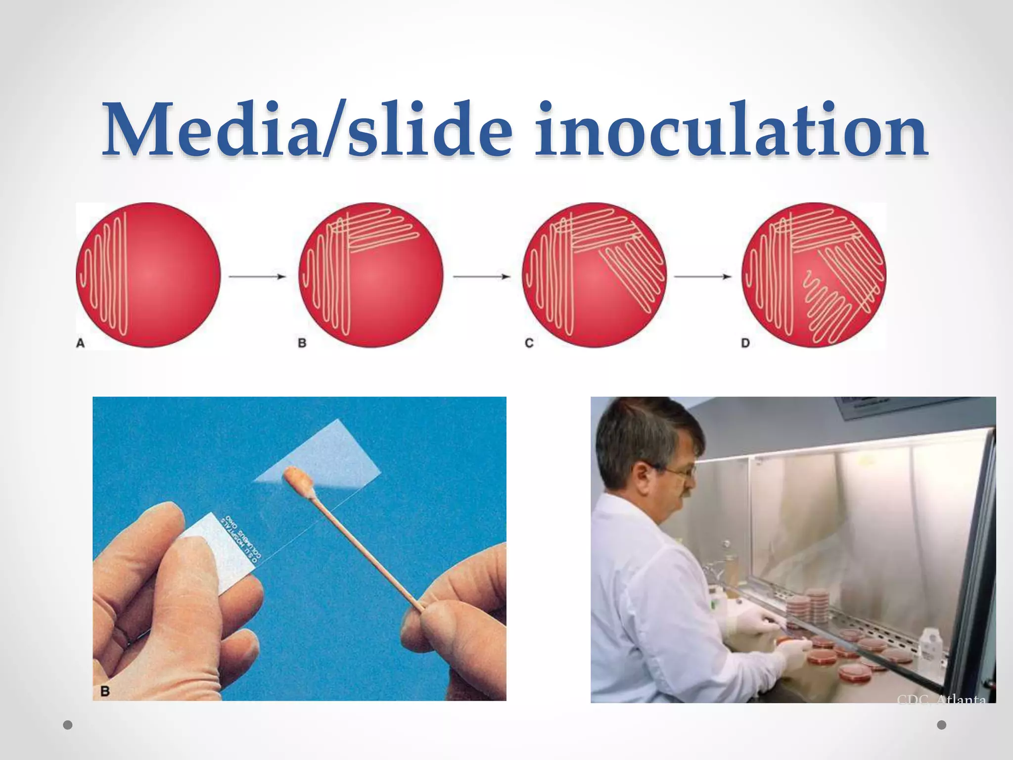 Wound Swab PowerPoint | PPTX