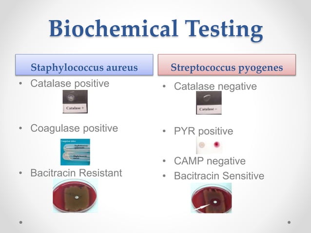 Wound Swab PowerPoint | PPT