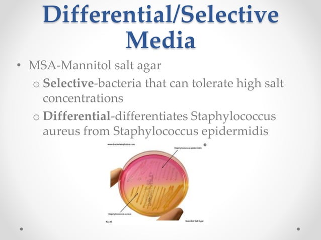 Wound Swab PowerPoint | PPT
