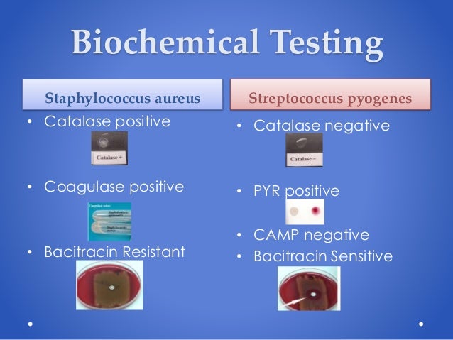 Wound swab mlt 2010 revised version