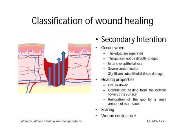 Wounds, Wound Healing And Complications | PDF | First Aid | Injuries