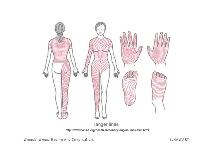 Wounds, Wound Healing And Complications