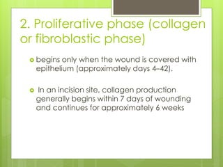 Wound, tissue repair and scar | PDF