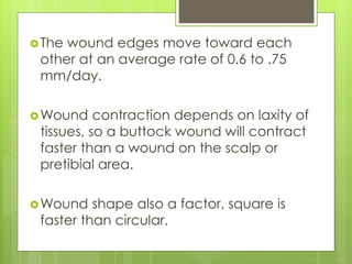 Wound, tissue repair and scar | PDF