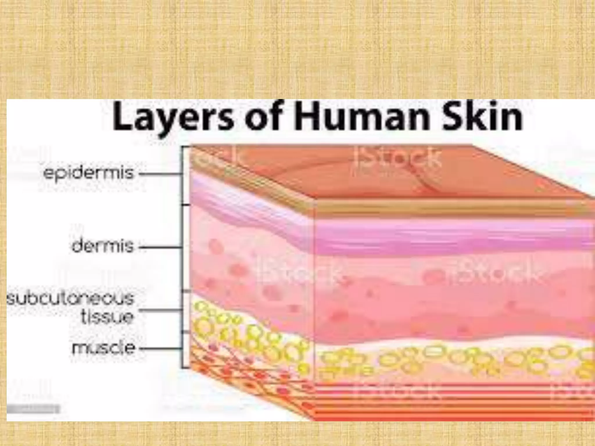 WOUND TYPE AND HEALING.pptx