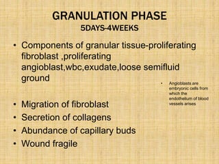 WOUND TYPE AND HEALING.pptx