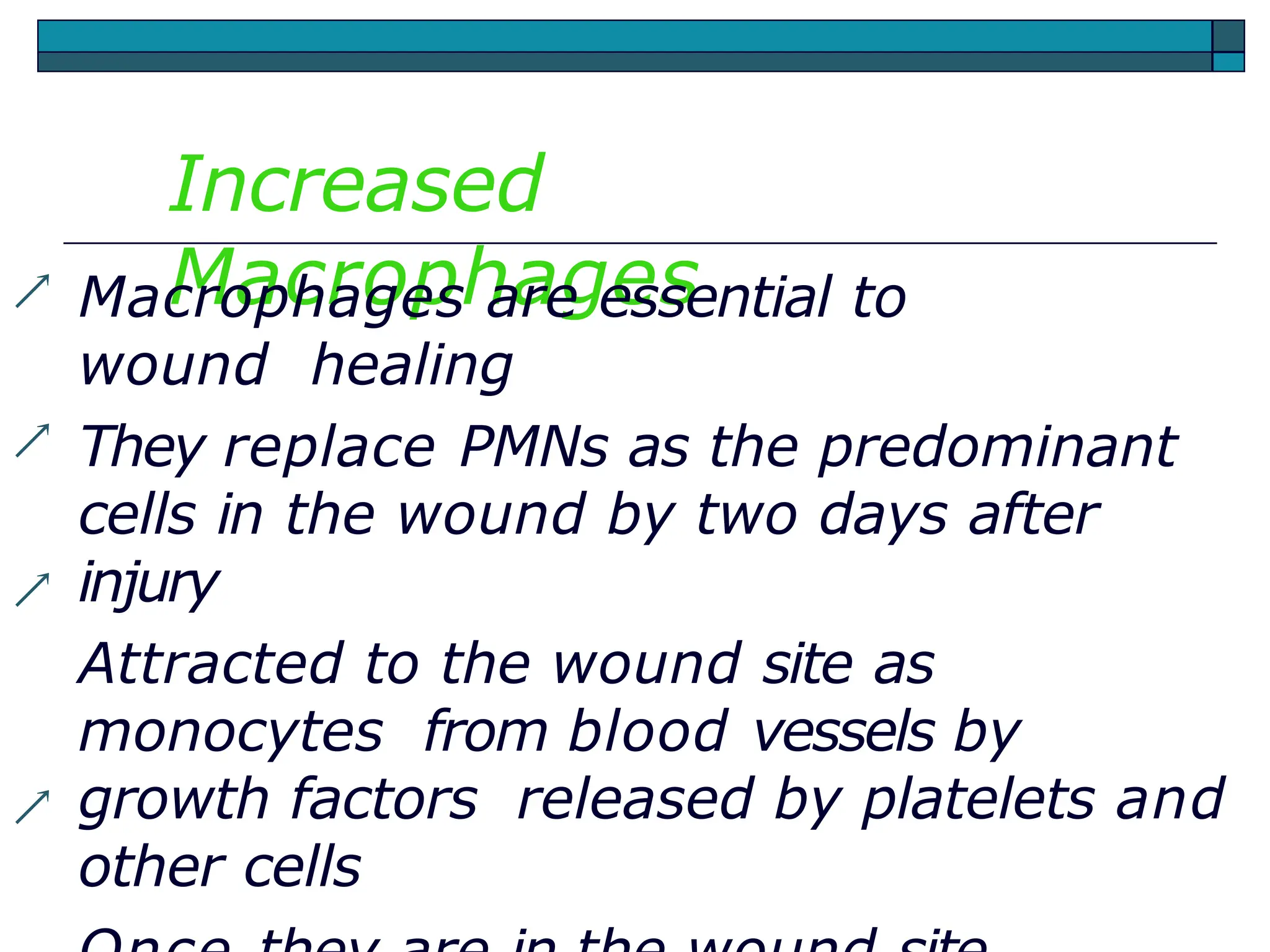 Wound (Types, Factors affecting healing and Management).pptx
