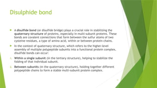 protein quaternary structure .pptxSAMAN 4.pptx