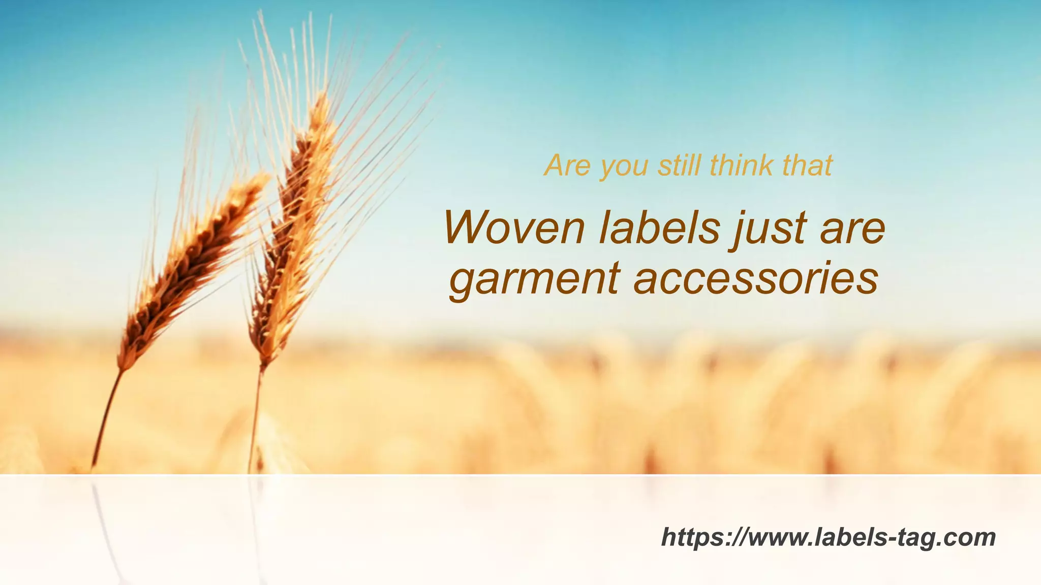 Woven labels ppt | PPT