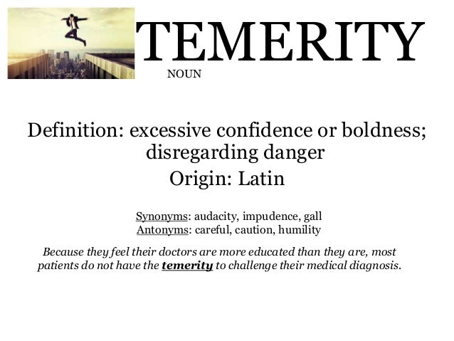 Temerity Definition