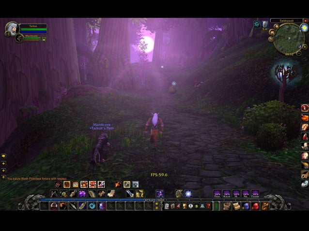 World of Warcraft Computers in Libraries 2010 | PPTX