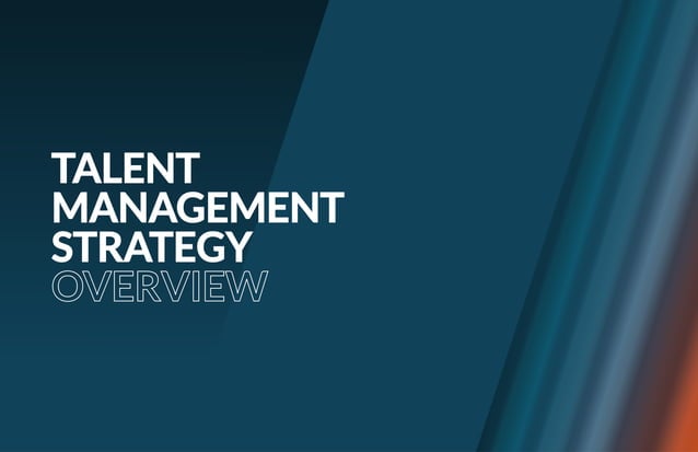 Effective Talent Management Strategy: Defining Priorities and Roadmaps ...