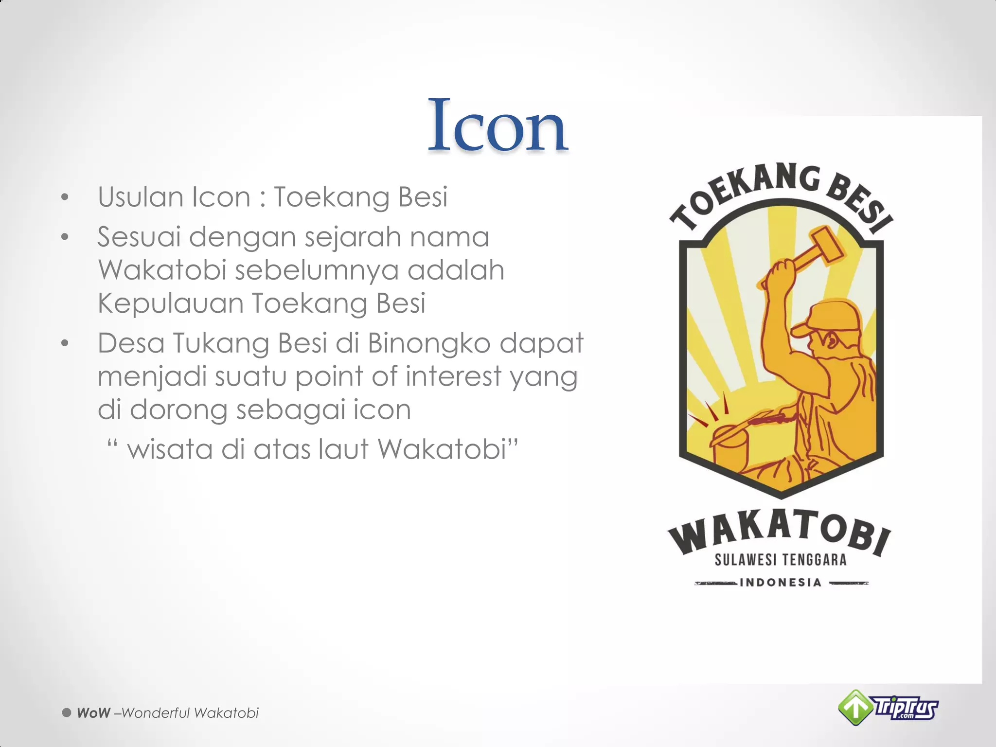 WoW Wakatobi - Tourism Overview | PDF