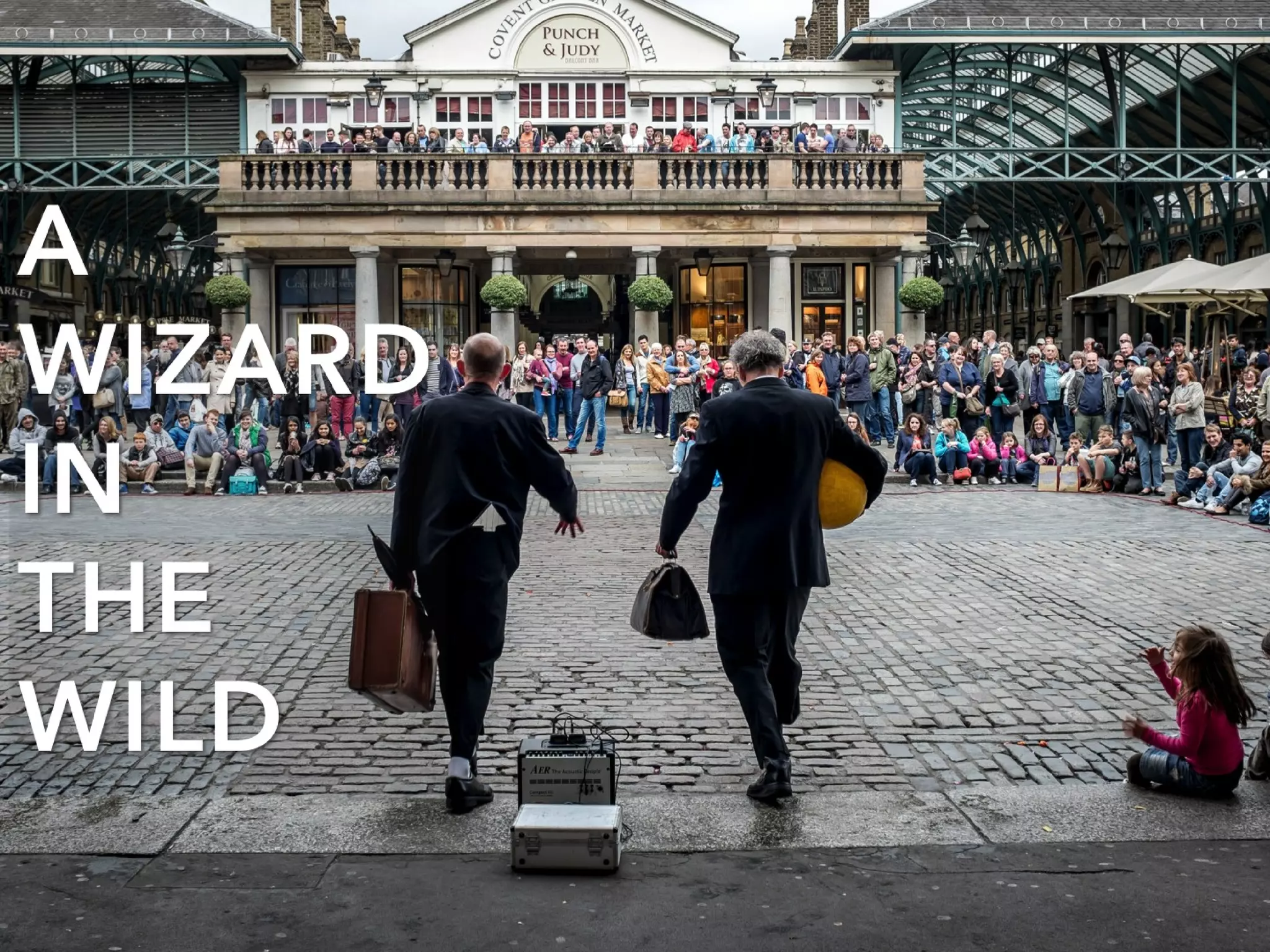 A wizard in the Wild | PPT