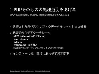 WP Performance Optimization | PDF | Web Development | Internet