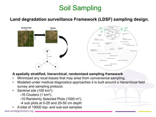 FoodAfrica seminar presentation WP1, Mercy Nyambura | PDF