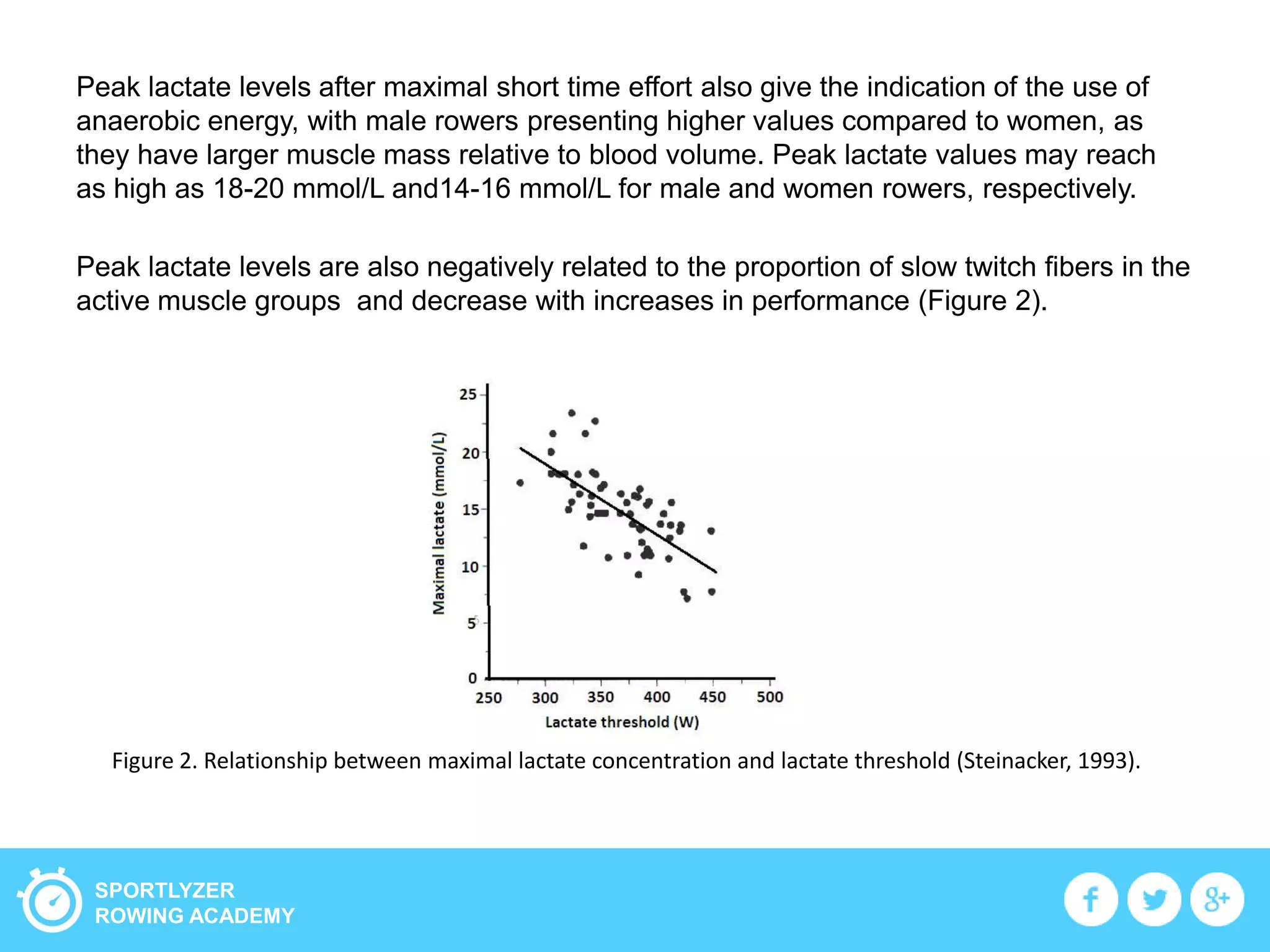 Anaerobic power in rowing | PPT