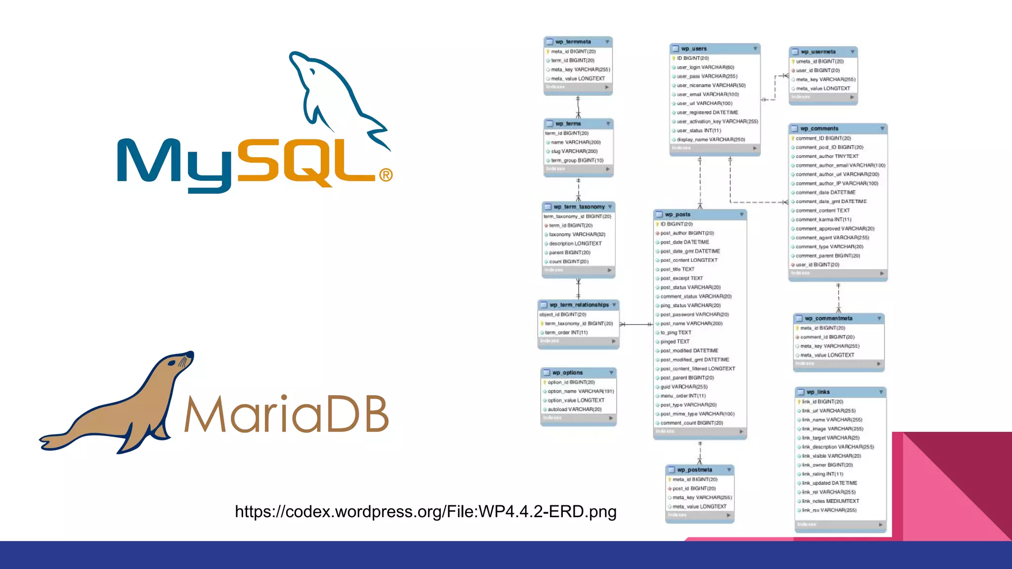 Understanding Wordpresswoocommerce Database Ppt