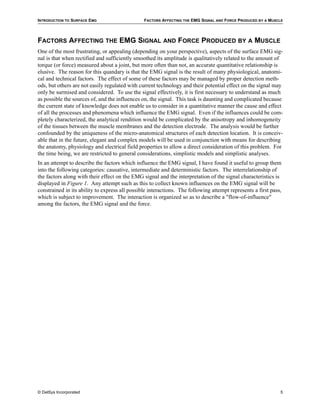 W P Biomechanics | PDF