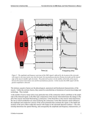 W P Biomechanics | PDF