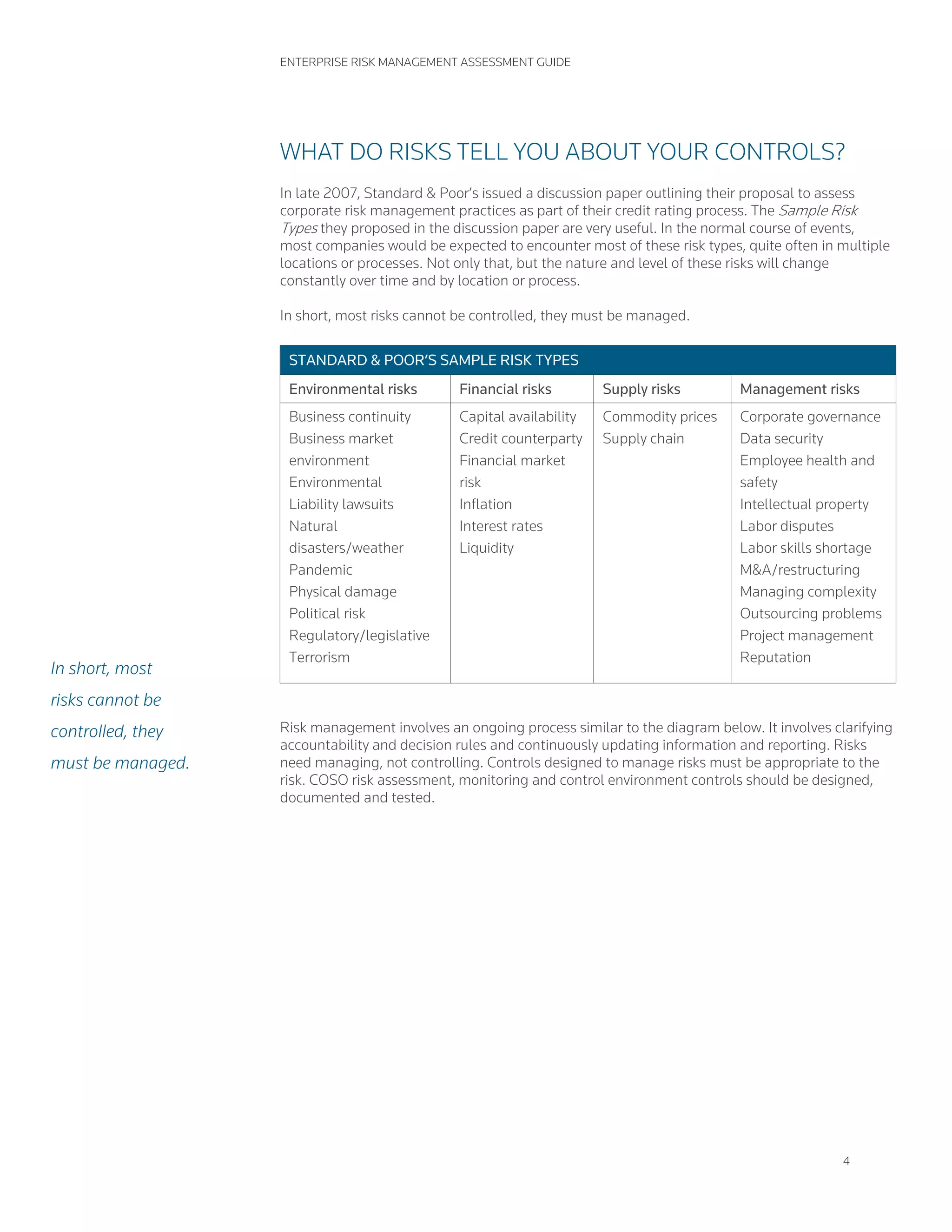 ERM Assessment Guide | PDF