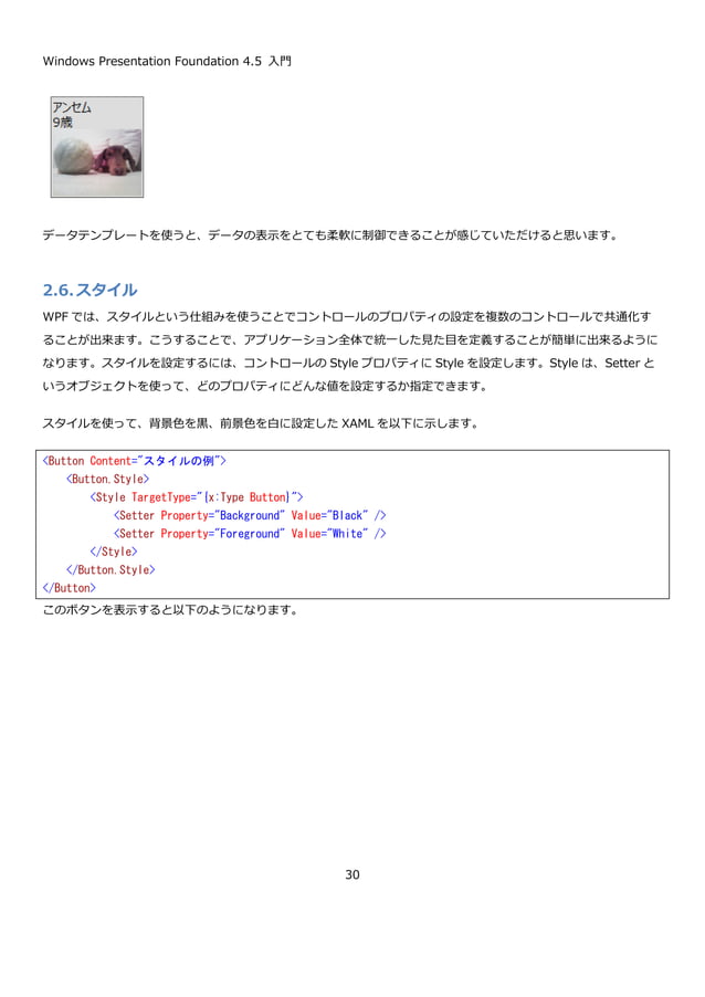WPF4.5入門 | PDF