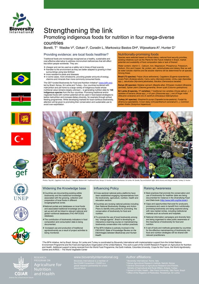Strengthening the link - Promoting indigenous foods for nutrition in ...
