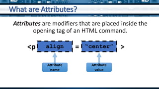 WPJS-Lesson02-Presentation.pptx