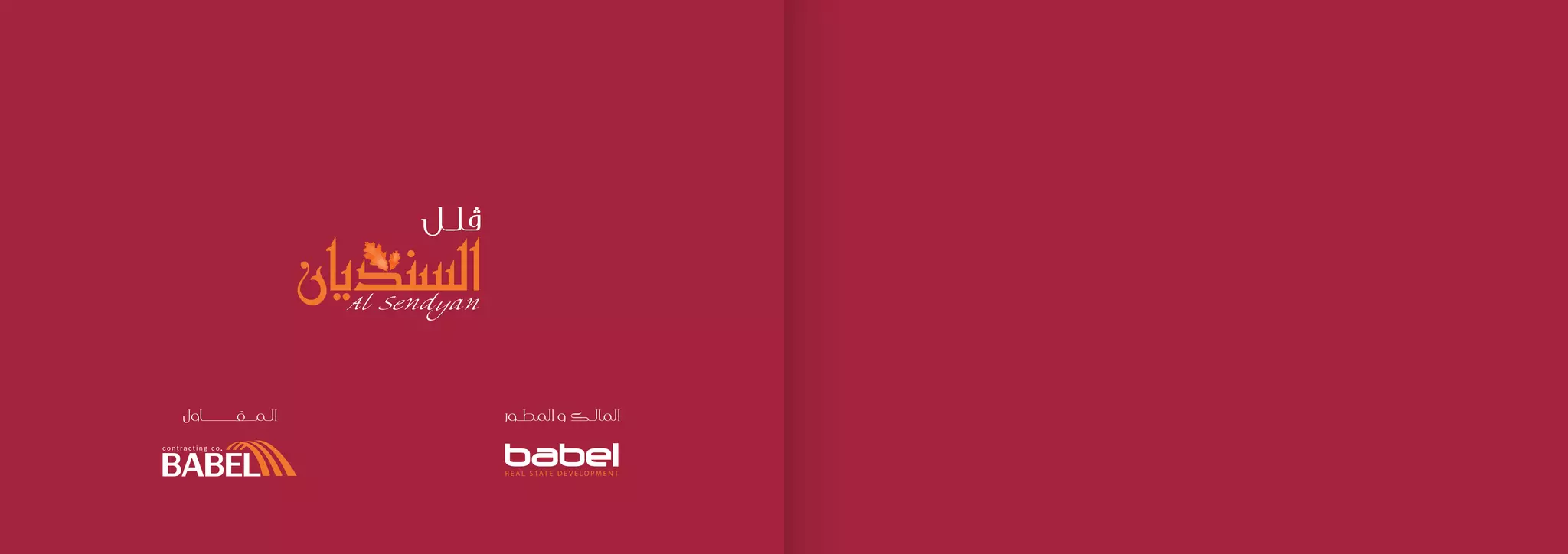 Syndian profile | PDF