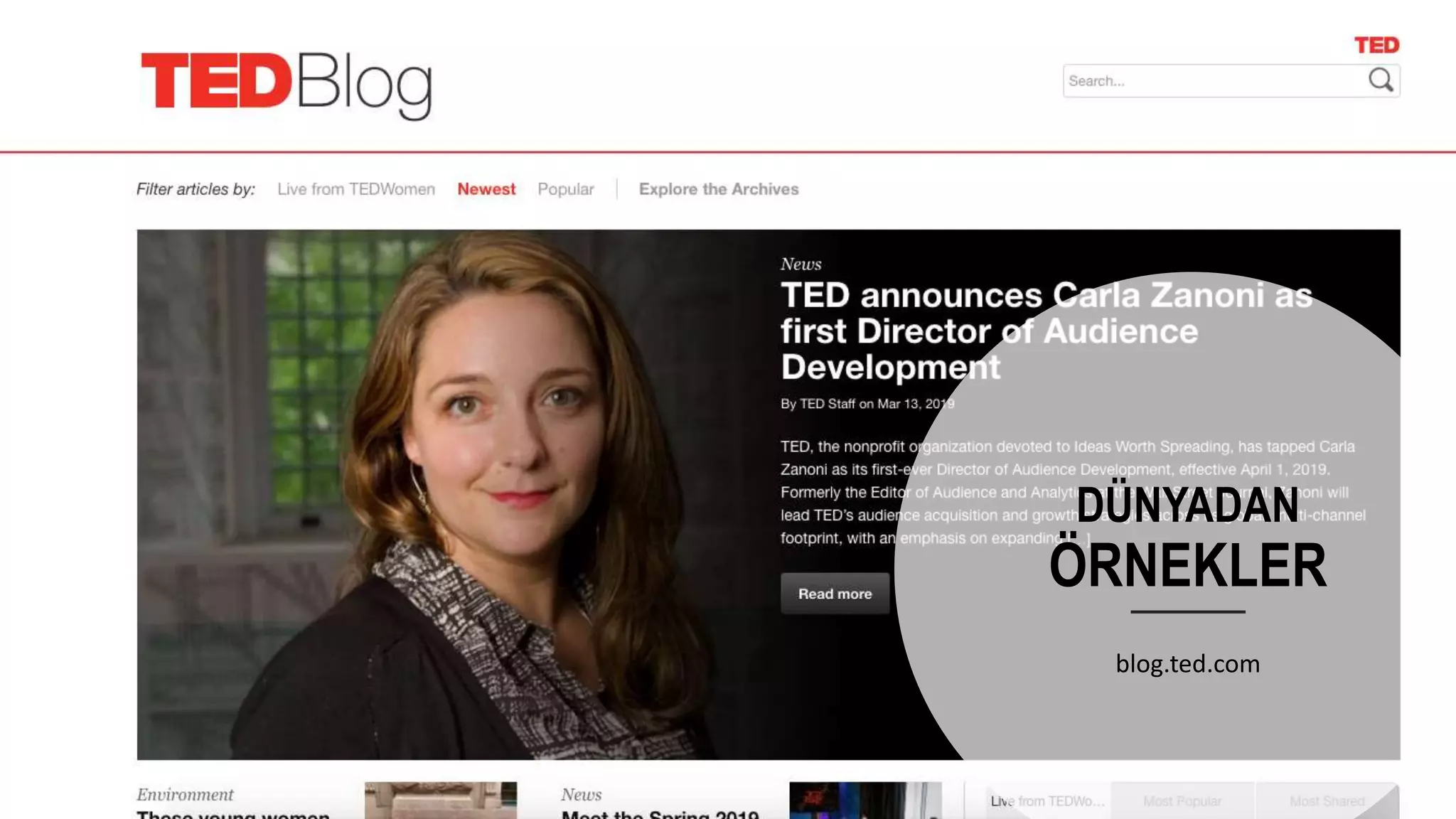 Wordpress Nedir ? | PPT | Free Download