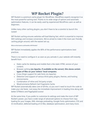 WP Rocket Plugin.pdf | Web Design and HTML | Internet