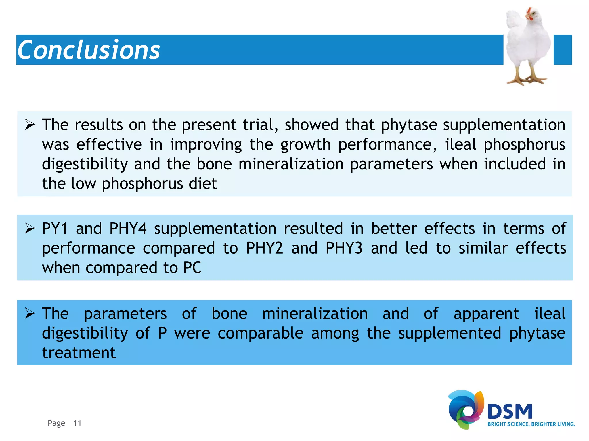 Efficacy of phytase products on ileal digestibility of phosphorus of ...