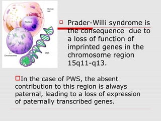 Wps Prezentare | PPT
