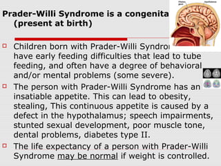 Wps Prezentare | PPT