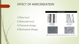 Mercerization | PPT