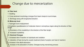 Mercerization | PPT