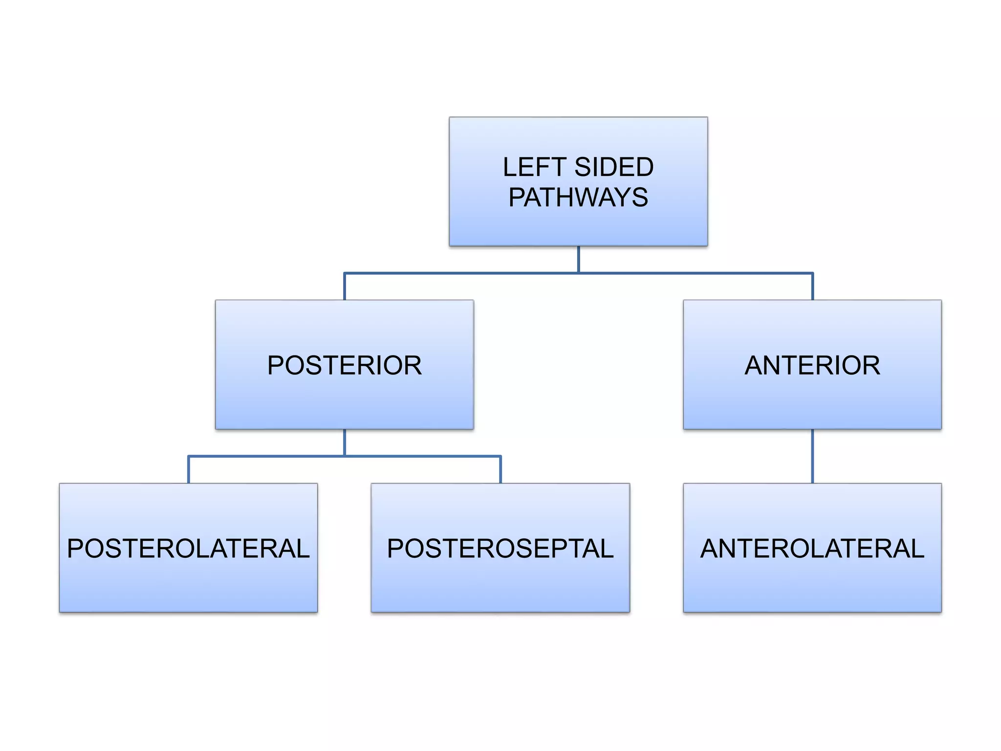Localization of WPW( accessory Pathway) by surface ECG | PPTX