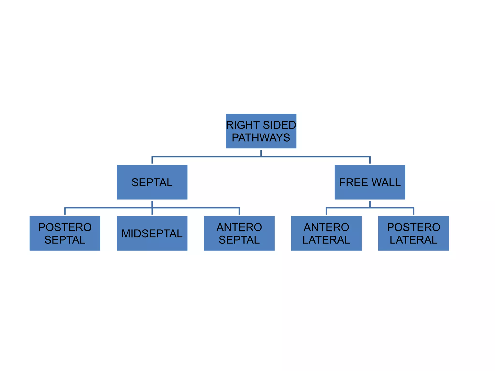 Localization of WPW( accessory Pathway) by surface ECG | PPTX
