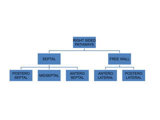 Localization of WPW( accessory Pathway) by surface ECG | PPTX