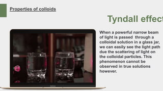 Physiology Colloids | PPTX
