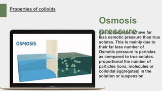 Physiology Colloids | PPTX