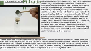 Physiology Colloids | PPTX