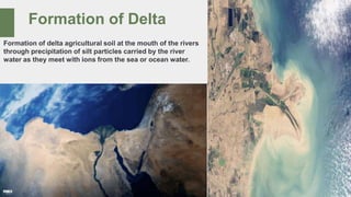 Physiology Colloids | PPTX