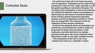 Physiology Colloids | PPTX
