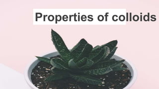 Physiology Colloids | PPTX