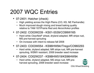 Wheat Quality Council | PDF