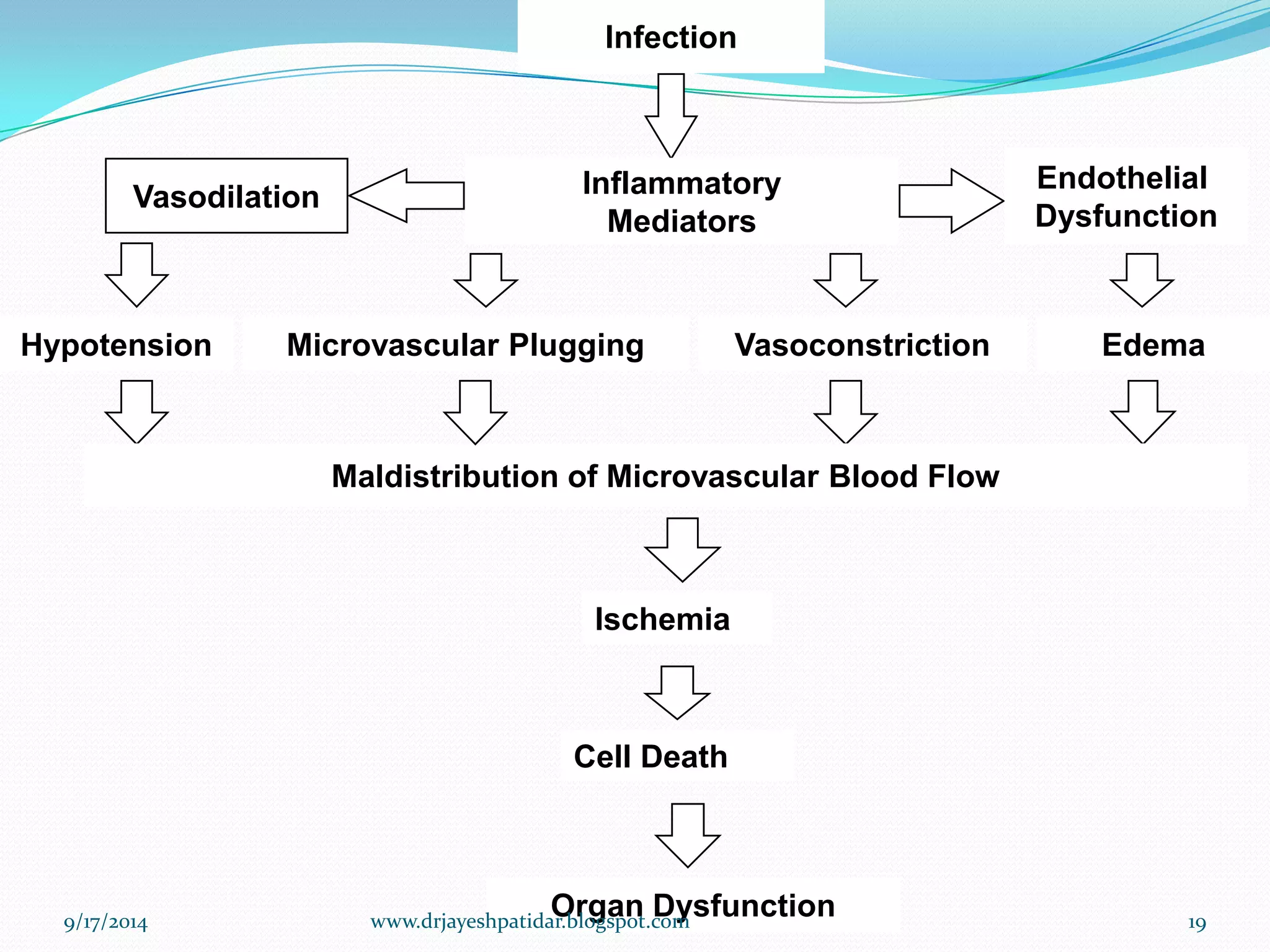 Multi organ dysfunction syndrome | PDF